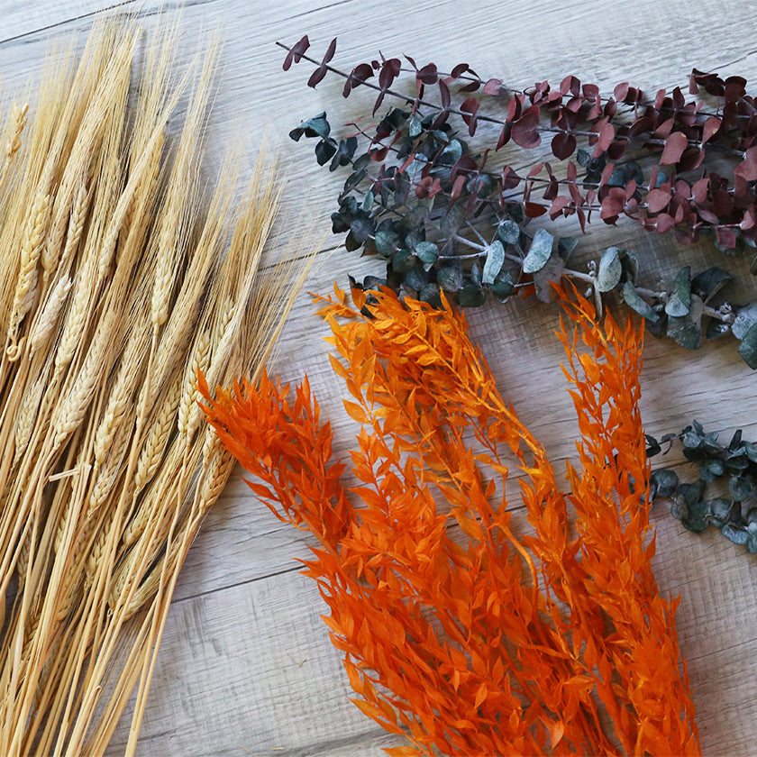 (P834) CT034 — Sacramento Valley Floral Supply